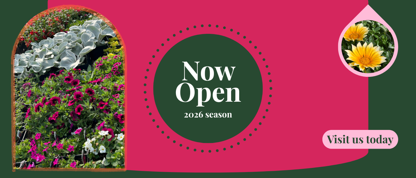 HC Gardens | Garden Centre in Strathroy, ON | Plants, Tools & More